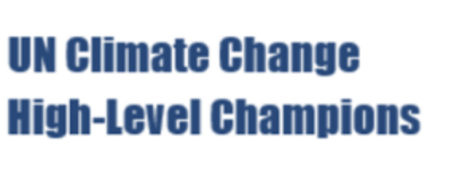 Africa Carbon Markets Initiative (ACMI) | Sustainable Energy for All